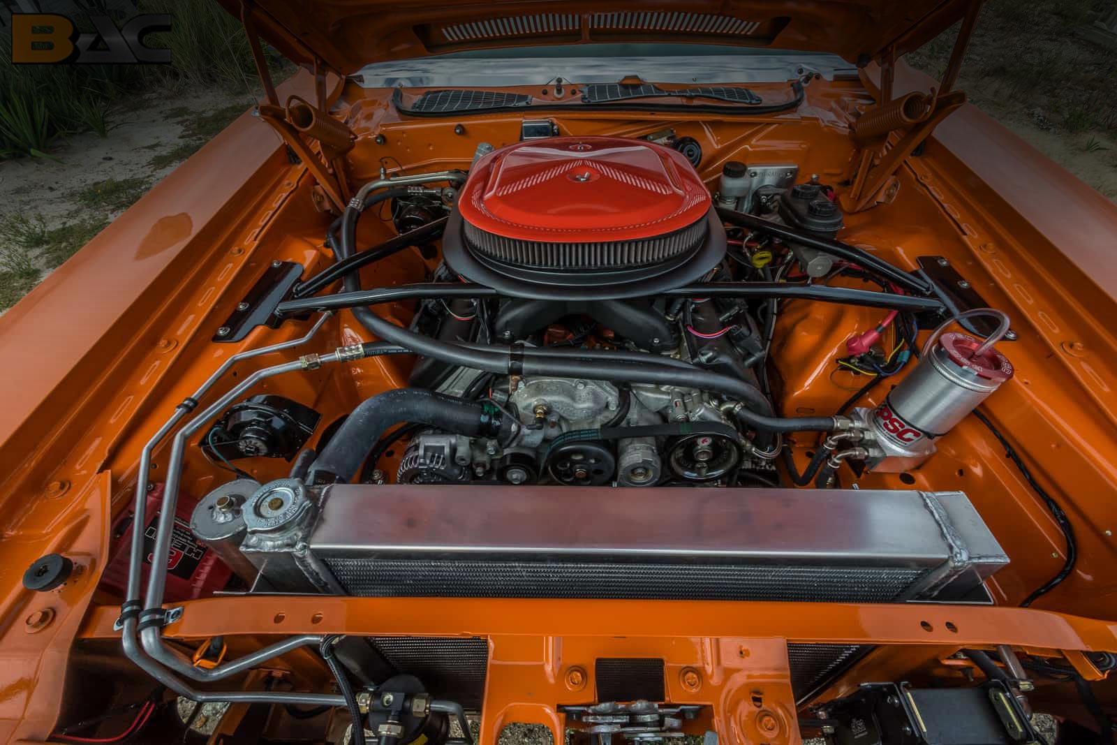 Bergman Auto Craft Shop